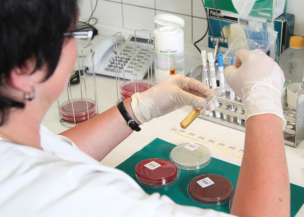 Leistungen des Instituts für Labordiagnostik, Mikrobiologie und ...
