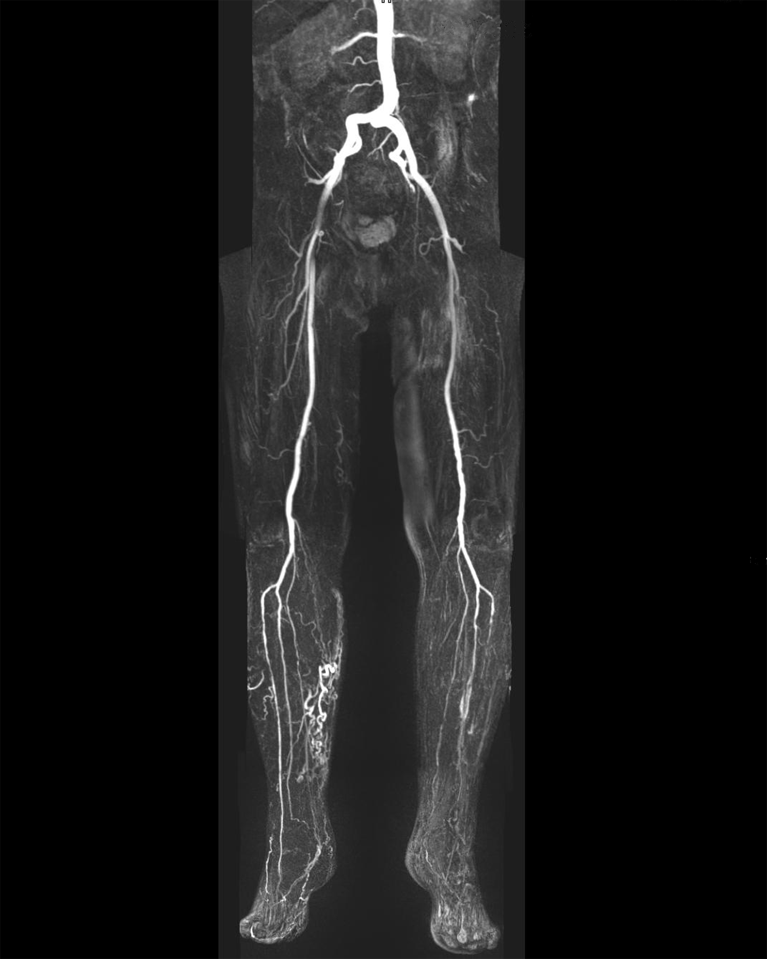 Diagnostik im Oberlausitzer Gefäßzentrum